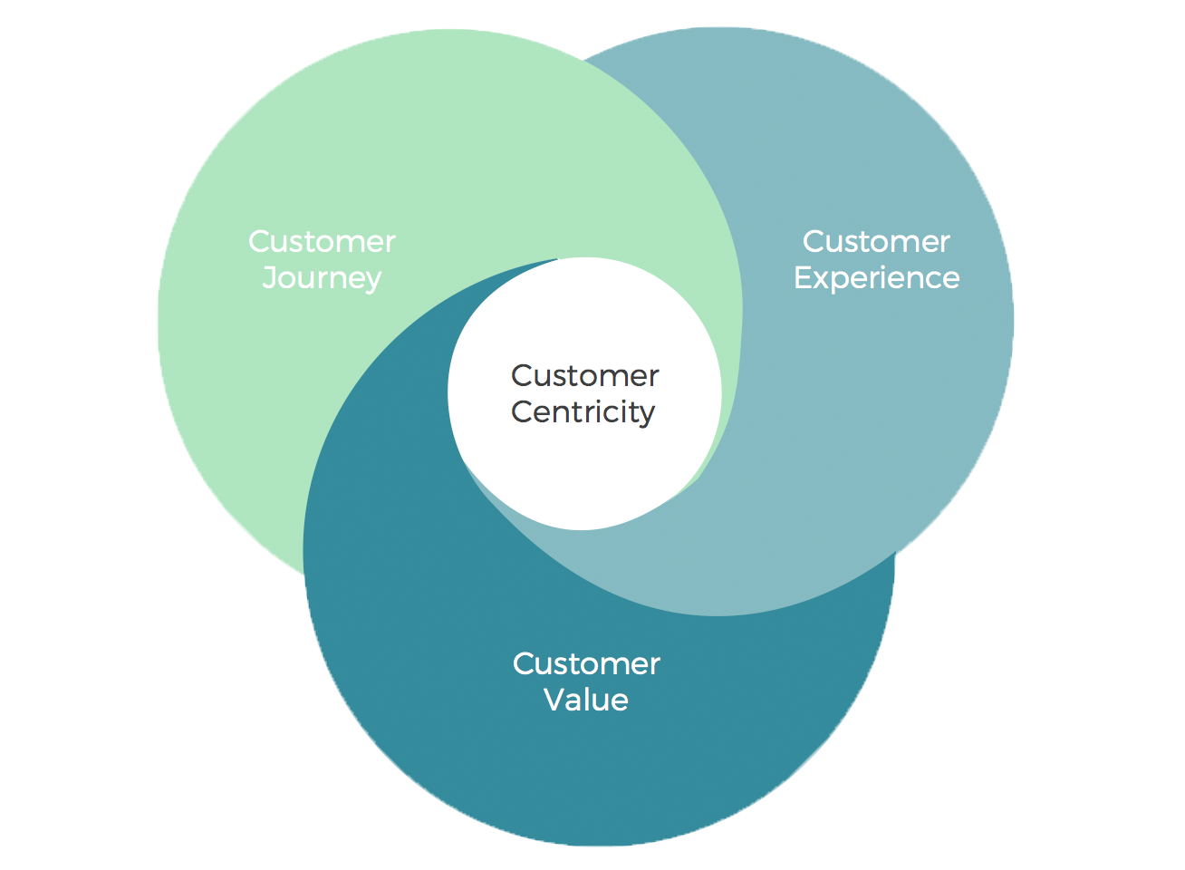 Estrategia Customer Centric: Qué es y por qué es tan importante | IEBS ...
