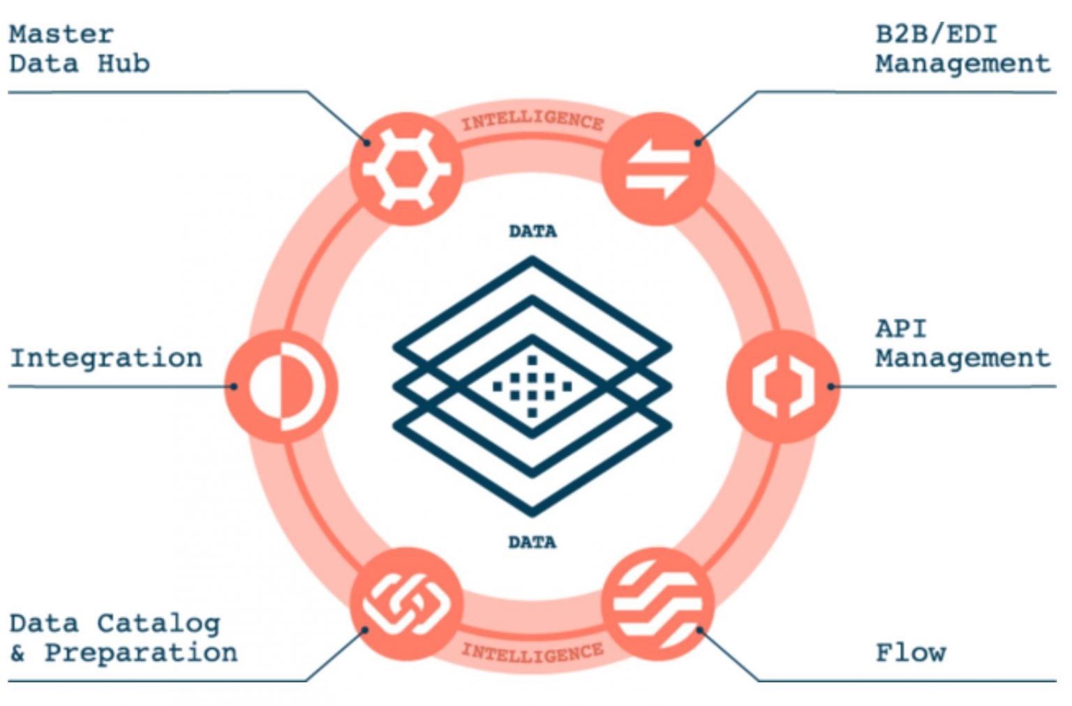 Qué es un Data Manager: principales funciones y salario | IEBS Business ...