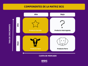 Matriz BCG: Cómo analizar el rendimiento de tus productos | IEBS Business School