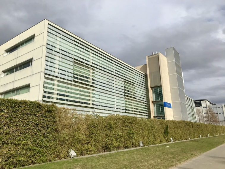 Sala de Prensa - IEBS